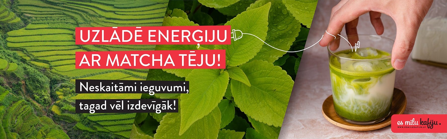 Matcha tēja un tējas piederumi matcha rituāliem